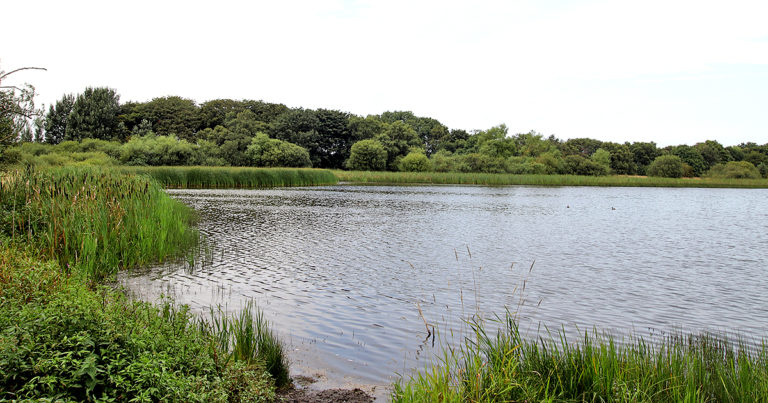 Holywell Pond – NWT Reserve
